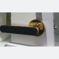 China OEM ODM Push Pull Door Lock Digital Wifi Keyless Entry Door Lock for sale