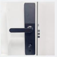 China WIFI Intelligent Fingerprint Door Lock Residential Smart Black Color for sale