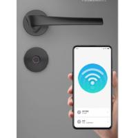 China Semiconductor Fingerprint Unlock Door Smart Look Door Home for sale
