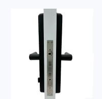 China Tuya TTLock App Intelligent Doorlock ELA E-30 Inteligentes Con Wifi Electric Digital Fingerprint Keyless Entry Smart Doo for sale