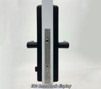 China Tuya Ttlock Biometric smart door lock Tuya TTlock Secure Wifi digital smart door lock for sale