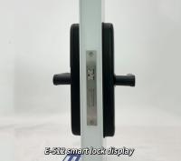 China OEM E-512 Tuya Password Biometric Electronic Fingerprint Wifi Door Smart Digital Door Lock for sale