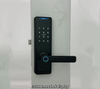 China High Security Standard Electronic Electric Tuya App Smart Lock Digital Automatic Biometric Fingerprint Door Lock ForHome for sale