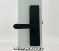 China ELA E-551 Biometric Fingerprint Smart Lock Hotel Door Lock With Electric Feature For Smart Homes Or Offices for sale