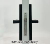 China ELA E-551 Biometric Fingerprint Smart Lock Hotel Door Lock With Electric Feature For Smart Homes Or Offices for sale