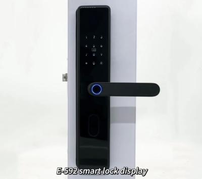 China ELA Door LocksLuxury Style Electric Safety Handle Digital Tuya Ttlock Intelligent Wifi Fingerprint Door for sale