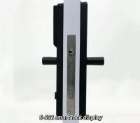 China ELA Door LocksLuxury Style Electric Safety Handle Digital Tuya Ttlock Intelligent Wifi Fingerprint Door for sale