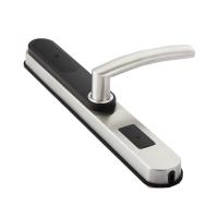 China Recognition Speed 0.5 Seconds Face Recognition Door Lock Utilizing Tuya App and System Selection Tuya APP for Fast Access for sale