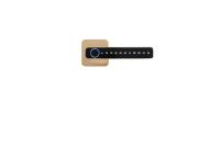 China ANSI Grade 2 Surface Mounted Electronic Door Lock Designed for Enhanced Security and Easy Installation in Access Systems for sale