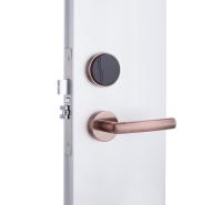 China 300mm X 70mm X 40mm Electronic Door Lock Featuring Network Wifi Integration Suitable for Commercial Security Solutions for sale