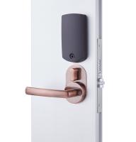 China 300mm X 70mm X 40mm Electronic Door Lock Featuring Network Wifi Integration Suitable for Commercial Security Solutions for sale