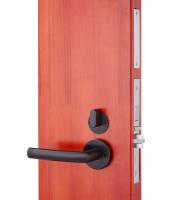China Motorized Deadbolt Electronic Door Lock Surface Mounted Electronic Keypad Entry System Designed for Residential Commercial for sale
