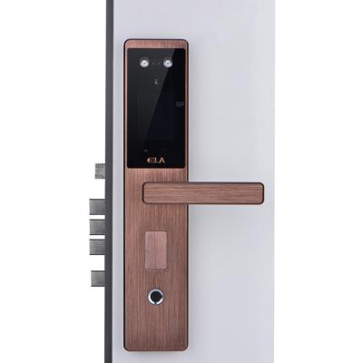 China Zinc Alloy Tuya Wireless Smart Lock Rechargeable Lithium Battery Enabled Keyless Entry System Providing Property Security for sale