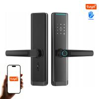 China Hot Sale Smart Lock 50*50 Mortise Aluminum Alloy Tuya Wifi App Fingerprint Wooden Door Lock E513 for sale