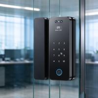 China Smart Glass Door Lock Key 3d Face Unlocking Tuya App Control Fingerprint Recognition Card Access Passcode Entry for sale