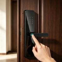 China Manufacturer High Quality Aluminum Alloy Entry Door Lock Fingerprint Password Tuya App Home Security Smart Lock for Wooden Door 551 for sale