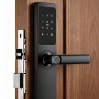 China Hot Sale Premium Grade Manufacturer Aluminum Alloy Digital Security Lock Fingerprint Password Tuya App Remote Smart Lock for House Apartment Door 561 for sale