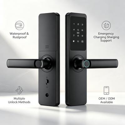 China Premium Grade High Quality Factory Direct Supply Manufacturer Aluminum Alloy Apartment Security Electronic Lock Fingerprint Password Tuya App Anti Peep Keyless Lock 561 for sale