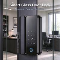 China ELA Factory Price Fingerprint RFID Card Keyless Smart Glass Door Lock for Home for sale