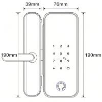 China ELA Best Price Smart Glass Door Lock Fingerprint Password Keyless Entry for Commercial for sale