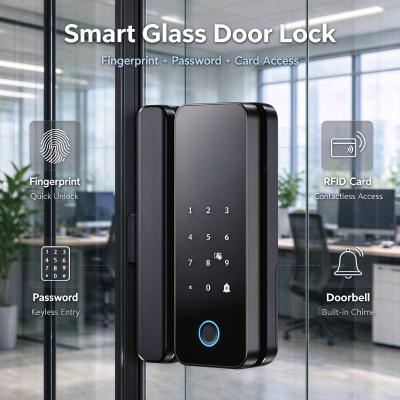 China ELA Best Price Smart Glass Door Lock Fingerprint Password Keyless Entry for Commercial for sale