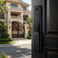 China Factory Direct CNC Aluminum Alloy Material 3D Face Unlock With Tuya App Remote Control Smart Digital Lock for sale