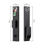 China OEM & ODM Supported Aluminum Alloy Material with Multiple Unlocking Methods Smart Digital Lock for Home Use for sale