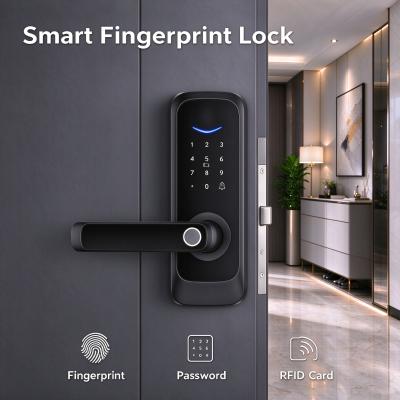 China ELA Wholesale Aluminum Alloy Material Smart Fingerprint Password Door Lock for Apartment Office Home for sale