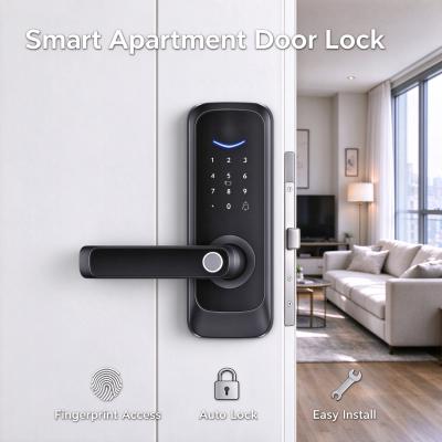 China ELA Hot Fingerprint Password RFID Card Smart Door Lock for Apartment Home  Wood Door for sale