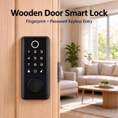 China ELA Best Price Electronic Wooden Door Smart Lock Fingerprint Password for Home for sale