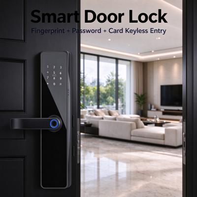 China Smart Handle Lock Best Price Electronic Smart Door Lock Fingerprint for Home for sale