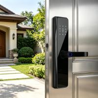 China Smart Handle Lock Best Price Electronic Smart Door Lock Fingerprint for Home for sale