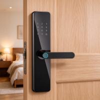China Hot Sale and Durable Aluminum Alloy Material Smart Digital Lock with 2 Years Warranty for Small Wooden Door for sale