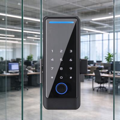 China New Arrival Keyless Entry Smart Glass Door Lock with Doorbell for Office Building for sale