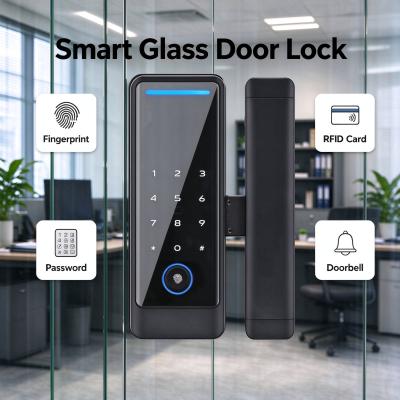 China Factory Direct Password RFID Smart Glass Door Lock with Doorbell for Entrance for sale