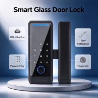 China High Quality Fingerprint Card Smart Glass Door Lock for Commercial Building for sale