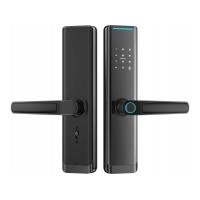 China Durable and Safe Aluminum Alloy Material Smart Digital Lock with Multiple Unlock Methods for Home Door for sale