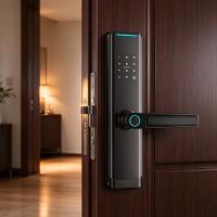 China Durable and Safe Aluminum Alloy Material Smart Digital Lock with Multiple Unlock Methods for Home Door for sale