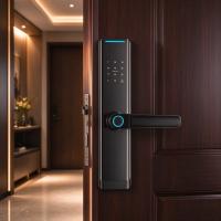 China Durable and Safe Aluminum Alloy Material Smart Digital Lock with Multiple Unlock Methods for Home Door for sale