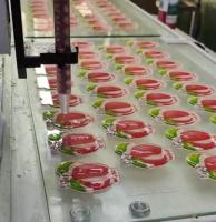 China Advanced Control Sticker Doming Machine Providing Uniform Resin Dispensing and Temperature Regulation for Domed Stickers for sale