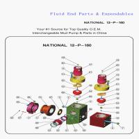 China National 12-P-160 Fluid End Expendables Kit with 1-3/4