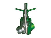China 2000-10000 MPa Mud Gate Valve 2