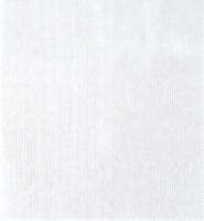China SS Nonwoven Fabric | 100% Virgin Polypropylene Spunbond Nonwoven for Medical Agriculture Packaging for sale