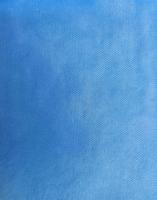 China Laminated Nonwoven Fabric | PE Film Coated PP Nonwoven for Medical Surgical Drapes and Protective Clothing for sale