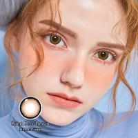 China 14.5mm Dia Lenses For Dry Eyes Brown Hydrogel Material Single Use MILLCREEK Lenses for sale