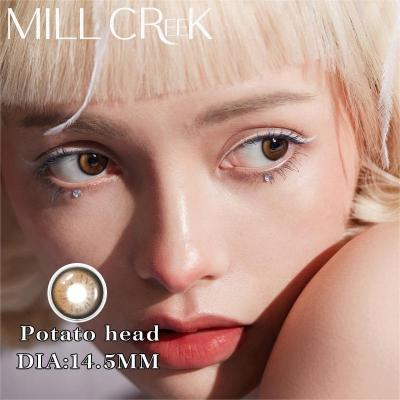 China Comfortable Contact Lenses One Month Wear Monthly Eye Contact Lenses 0.08mm Center Thickness for sale