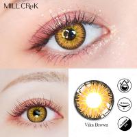 China Vika Brown Lenses For Dry Eyes 48% Water Content Professional Comfortable for sale