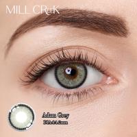 China Adam Grey Lenses For Dry Eyes Monthly 14.2mm Diameter 11Dk/T Oxygen Permeability for sale