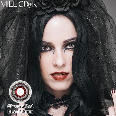 China Colored Special Effect Contact Lenses 14.5mm Dia 365 Days Sports Tinted Contact Lenses for sale