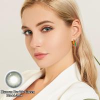 China 40% Water Content Blue Fashion Contact Lenses HEMA Material 14.5mm Diameter Monthly for sale